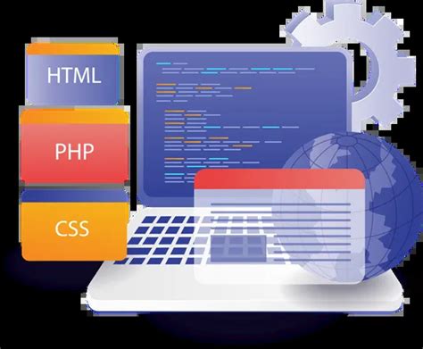 best programmer develops software illustration download in png and vector