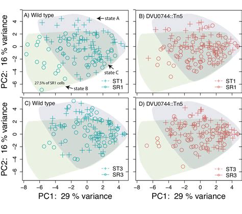 Single Cell Analytics To Determine Robustness Of A Model Microbial Community Baliga Lab