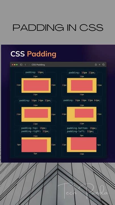 Css Part 1 Padding Css Tutorial What Is Css Padding Css