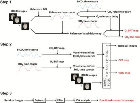 Illustration Of Analysis Steps In The Multiparametric Imaging Method To