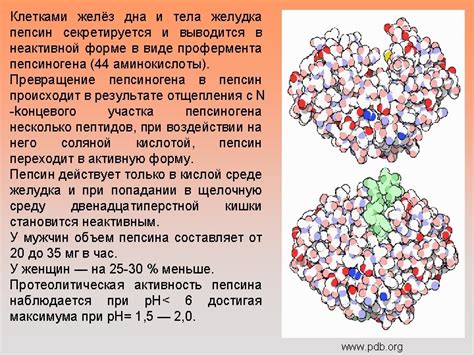 Attributes Recommended Name Pepsin A Ec 3 4