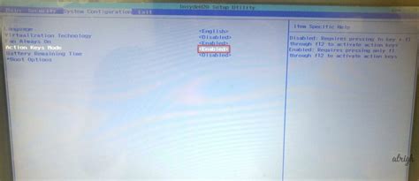 How Do I Lock And Unlock The Fn Key