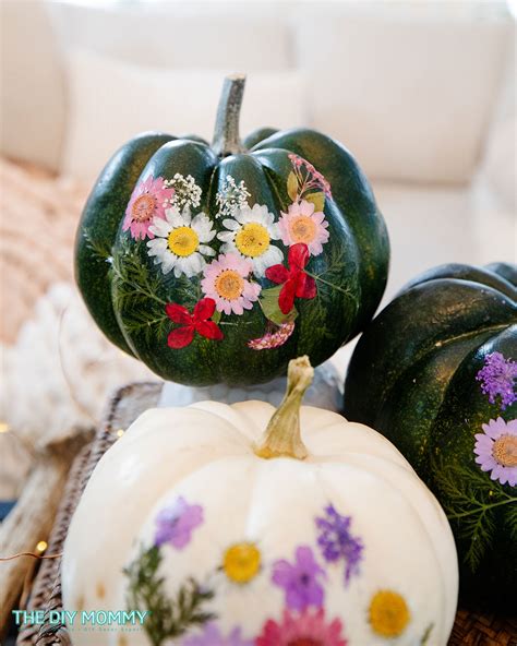 Make A Diy Pressed Flower Pumpkin Cozy Diy Home