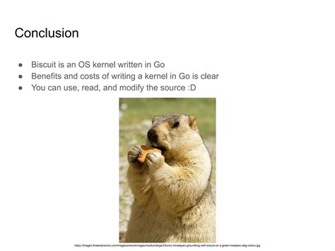Biscuit An Operating System Written In Go Pdf Operating Systems