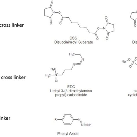 Types Of Cross Linkers Available Download Scientific Diagram