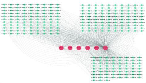 mirna network targeting the hub genes of the final screen in the