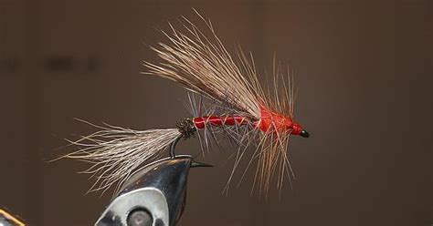 Stimulator Fly Variant Album On Imgur