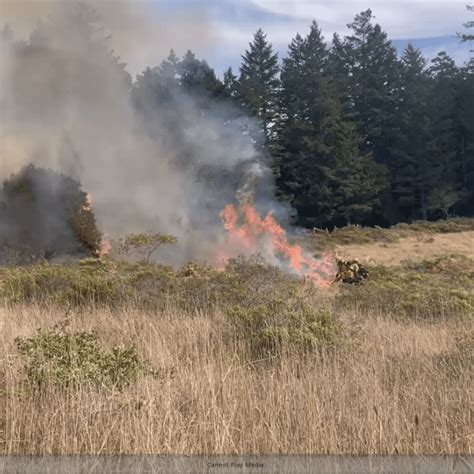 Vegetation Fire Safe Marin