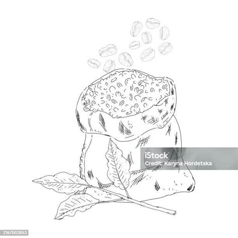 색칠 공부 책 페이지 와 황마 가방 와 커피 콩 와 잎을 가진 커피 식물의 가지 인쇄와 웹용 흑백 일러스트레이션 가방에 대한 스톡 벡터 아트 및 기타 이미지 Istock