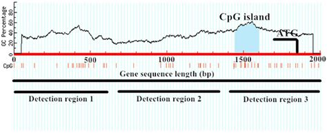 Cg Enrichment And Bsp Detection In Ftnhx1 Promoter Region Download
