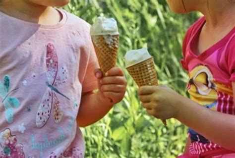 롯데웰푸드 무설탕·무당류 ‘제로 Zero 누적 매출 1천억원 돌파 라이벌뉴스