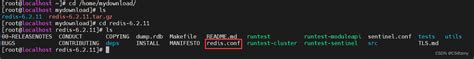 【redis】redis6 2 11安装与基本使用 csdn博客