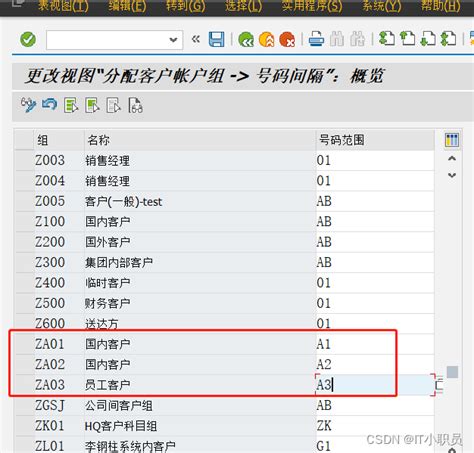 sap s4 fi后台详细配置教程 part5 （应收帐目和应付帐目配置篇） sap 发票应付账款设置 csdn博客