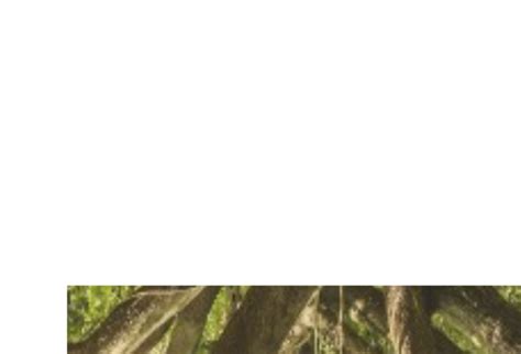 Javascript How To Get Rotated Image With Html2canvas Stack Overflow