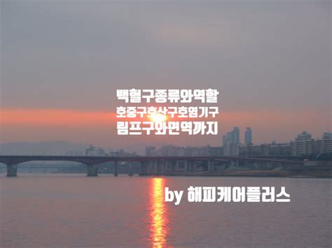 백혈구 종류와 역할 과립구호중구 호산구 호염기구 단핵구 림프구 네이버 블로그