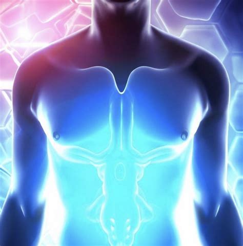 C C Lo I Hormone Trong C Th Ch C N Ng V Ng D Ng Trong Y Khoa Ph N Th Gi I Thu C M I