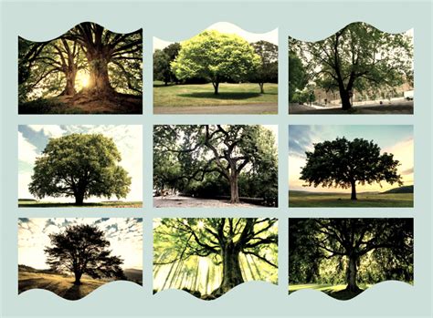 Gallery Block Refactor Dev Note Make WordPress Core