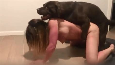 19 Year Old Teen Having Sex On All Fours With A Ted Dog Zoo