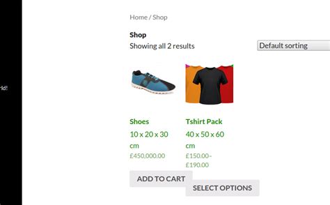 Php Woocommerce Product Dimensions Not Showing On First Product