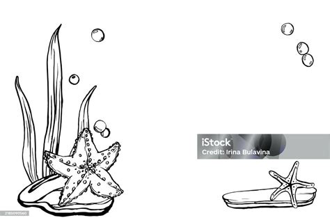 벡터 불가사리 그림 바다 밑바닥 조경 디자인 서식 파일 그리기 라인 아트 스타일 바다 생물의 스케치 조류 산호 조개 바다 연체