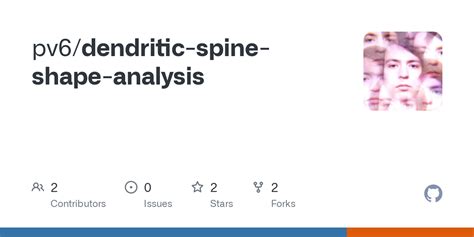 Github Pv6 Dendritic Spine Shape Analysis