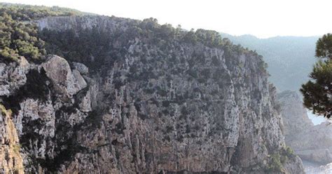 Benedict Cumberbatch Officiates Gay Wedding E Online