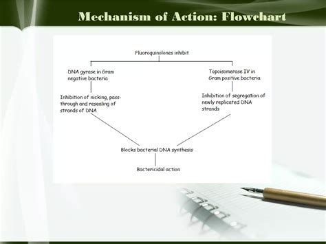 Fluoroquinolones Pot