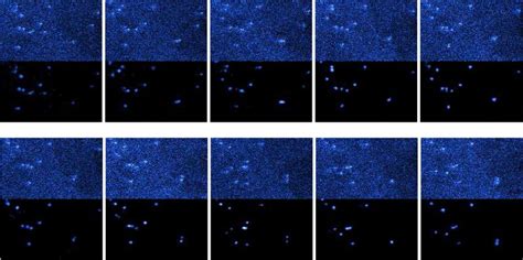 extended figure denoising haadf images with coma distortions mcnn