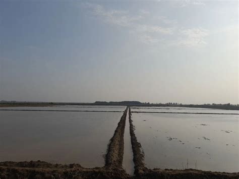 asjad shah on linkedin plot ready for next sowing