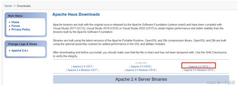 【flask实战】apache wsgi在内网windows环境下部署flask项目（艰难爬坑总结） 阿里云开发者社区
