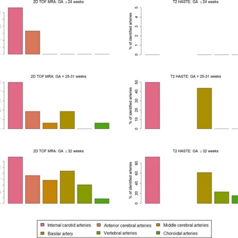 Arteries Represented At 2d Mra Tof And T2 Haste Images In Different Download Scientific Diagram