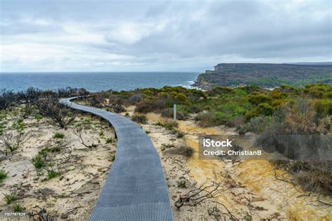 Hikink 로얄 국립 공원 해안 트랙 시드니 근처 뉴 사우스 웨일즈 호주 37 0명에 대한 스톡 사진 및 기타 이미지 0명 가파른 감시 Istock