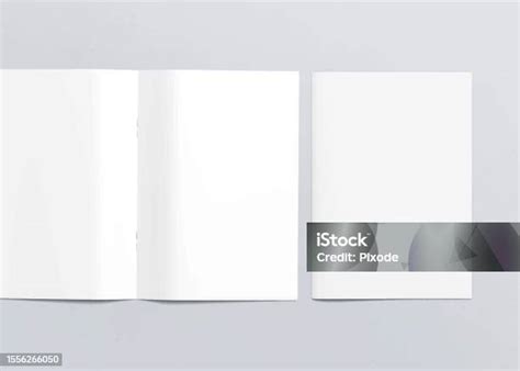 현실적인 빈 빈 A4 A5 전단지 소책자 반접기 브로셔 전단지 책 프레젠테이션 템플릿 디자인 창과 나뭇잎 그림자 오버레이 흰색 배경에 격리 3d 벡터 그림입니다 3차원