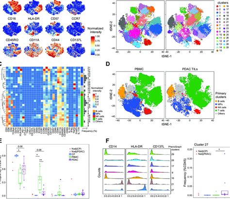 Identification Of Immune Cell Subtypes In The Pdac Tme A Cells
