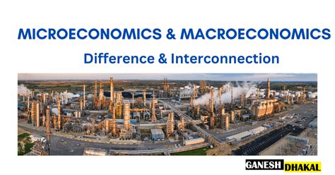 6 Difference Between Microeconomics And Macroeconomics Interrelation Ganesh Dhakal