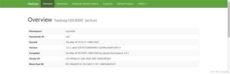 搭建开启keberos的hadoop集群（1）kerberos Hadoop集成 Csdn博客
