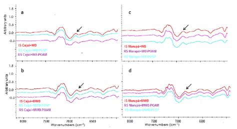 Nir Spectra Of Initial Is And Residual Rs Poam And Rs Posp