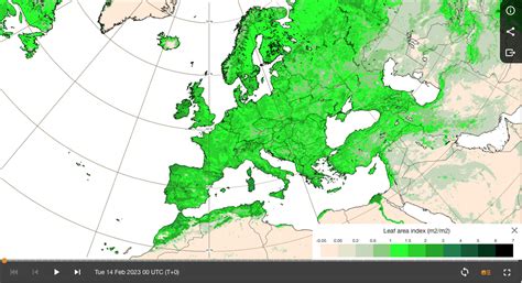 Section 2 1 4 7 Modelling Vegetation Leaf Area Index Forecast User Guide Ecmwf Confluence Wiki