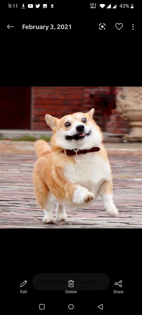 How To Manage Bluetooth Settings On Android 10 Androidguys