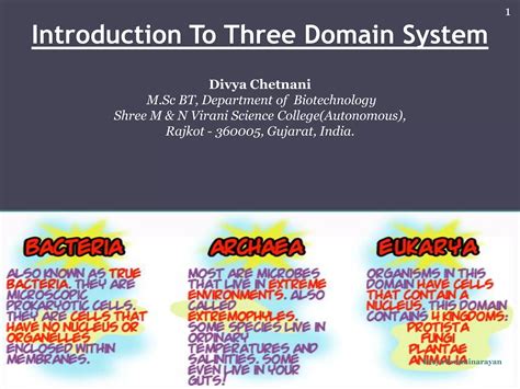 Classification Three Domain System Pdf