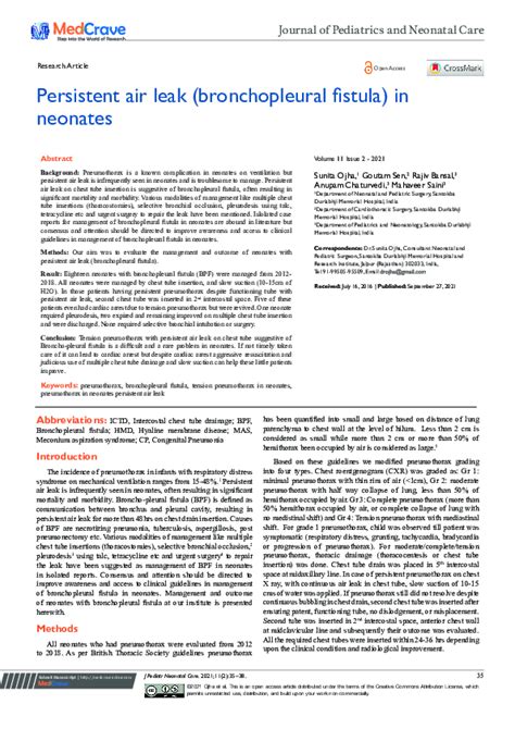 Pdf Persistent Air Leak Bronchopleural Fistula In Neonates