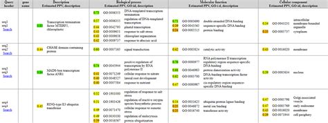 How To Do A Rapid Functional Sequence Annotation With Pannzer Javier