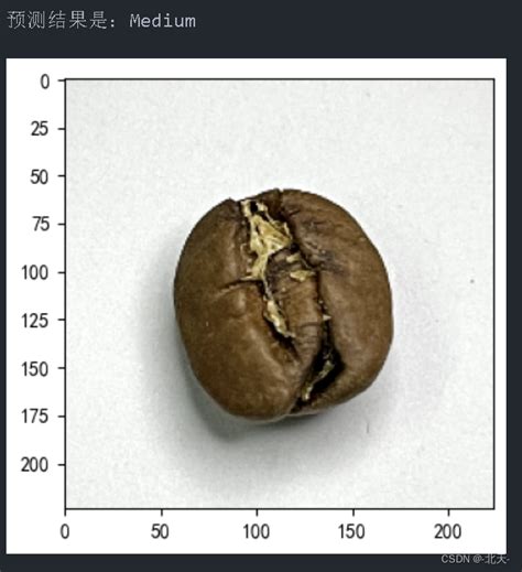 深度学习 day29——利用pytorch实现咖啡豆识别 py实现多种颜色的豆子识别 csdn博客
