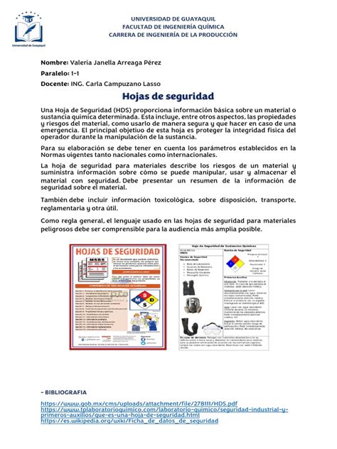 Hojas De Seguridad Pdf