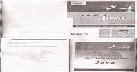 Download Pdf Fundamentos De Programacion Java Ricardo Marcelo Villalobos