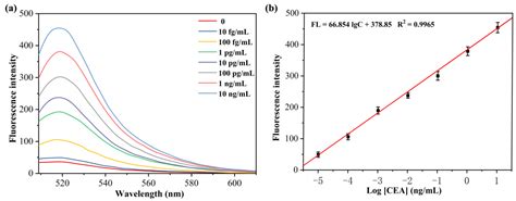 A Novel Fluorescent Aptamer Sensor With Dnazyme Signal Amplification