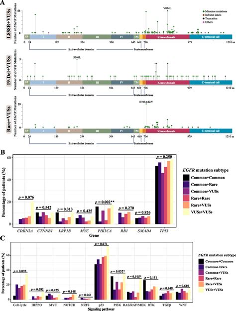 The Molecular And Genetic Characteristics Of Different Types Of Download Scientific Diagram