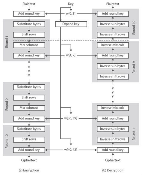 “het Parlement Moet Grip Krijgen Op Het Gebruik Van Algoritmes” Beste Id