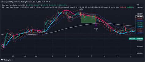 Create Scripts In Tradingview Pinescript As Per Need By Kainat4fvr Fiverr
