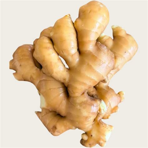China Export Factory Spot Supply Clean Yellow Fresh Ginger Without